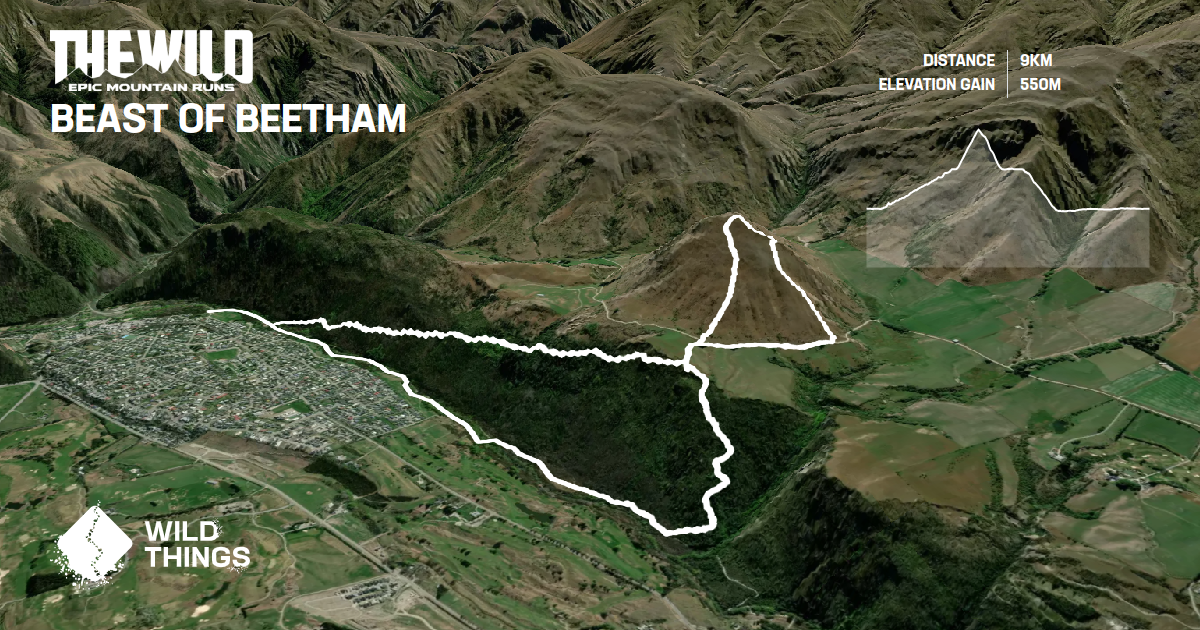 The WILD Beast of Beetham route flyover on Wild Things